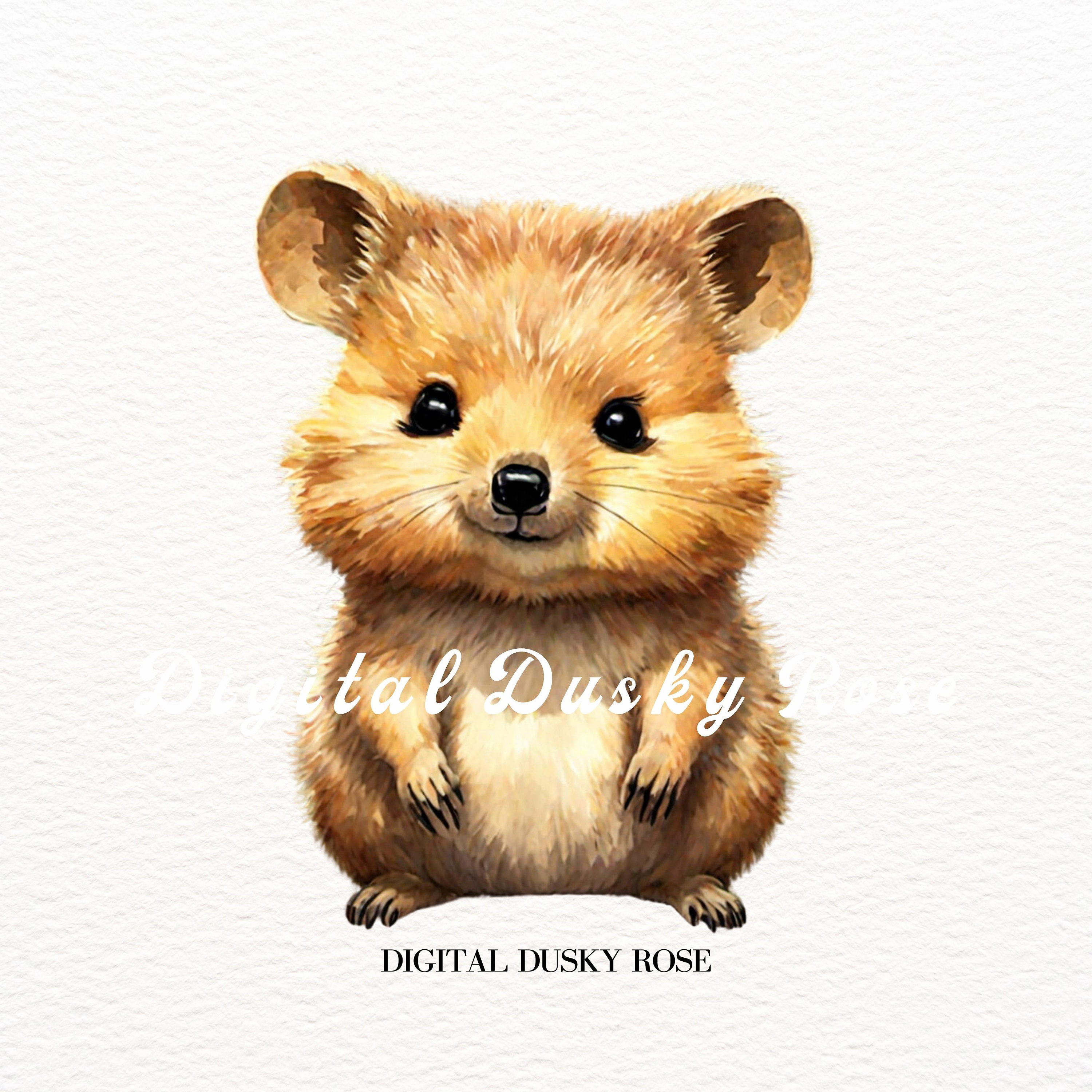 Cute Quokka Watercolor Clipart,png, Adorable Wild Animal, Printable ...