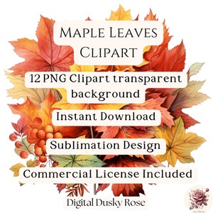 Autumn Maple Leaf Clipart Fall Foliage Seasonal Decor Graphics Fall ...