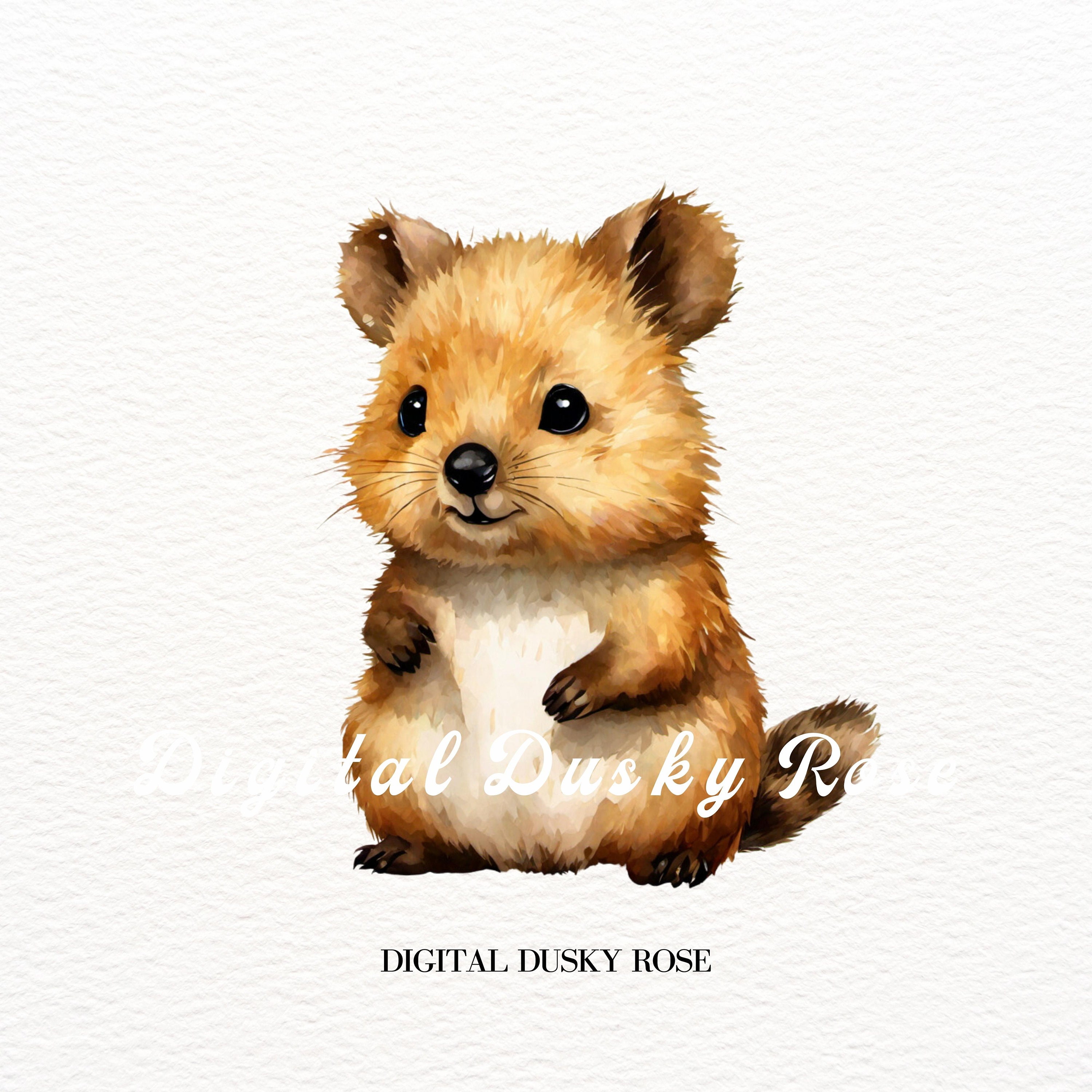 Cute Quokka Watercolor Clipart,png, Adorable Wild Animal, Printable ...