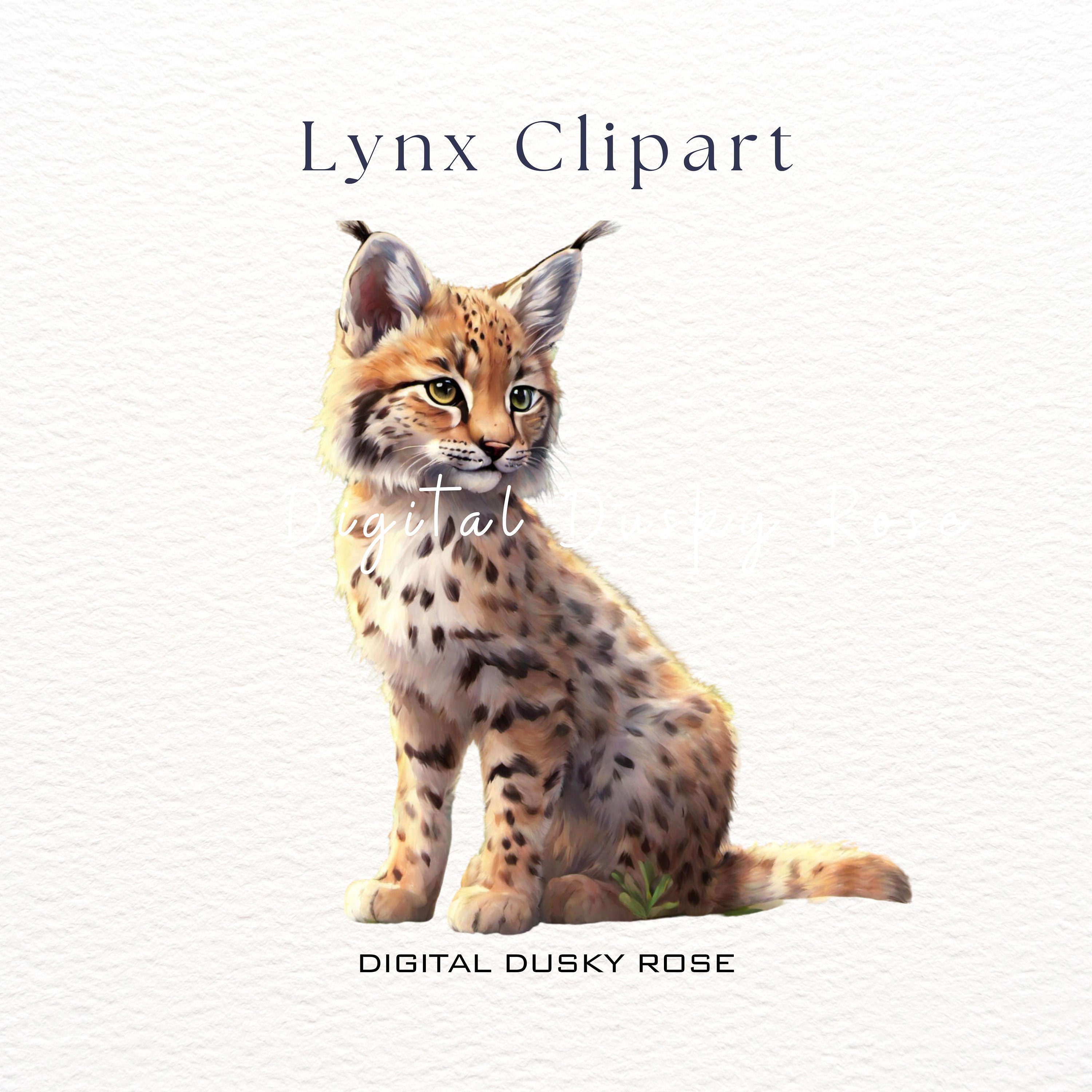 Lynx Watercolor Clipart PNG Lynx Craft Illustrations DIY Art - Etsy