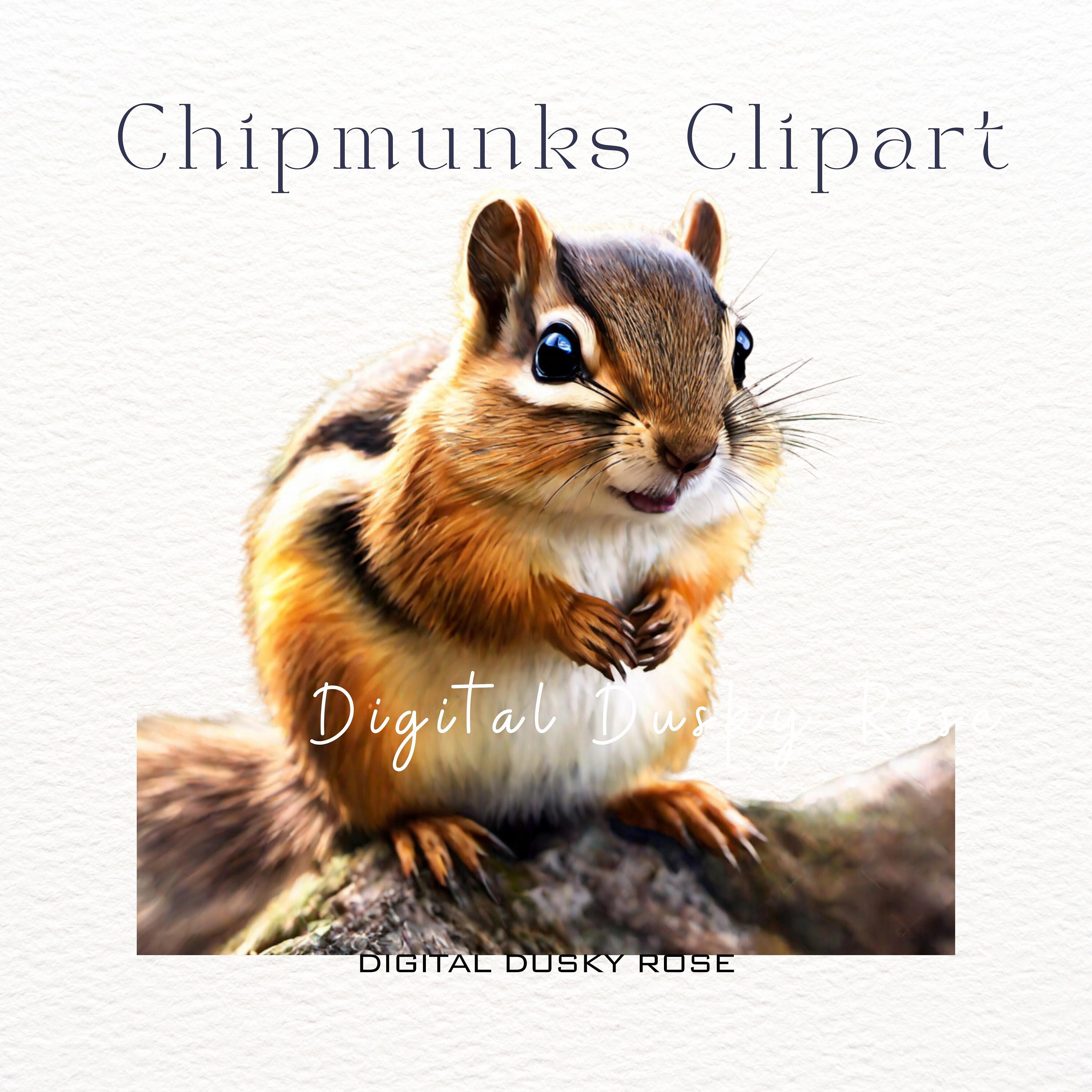 Chipmunk Watercolor Clipart PNG Cute Wild Animal Craft - Etsy