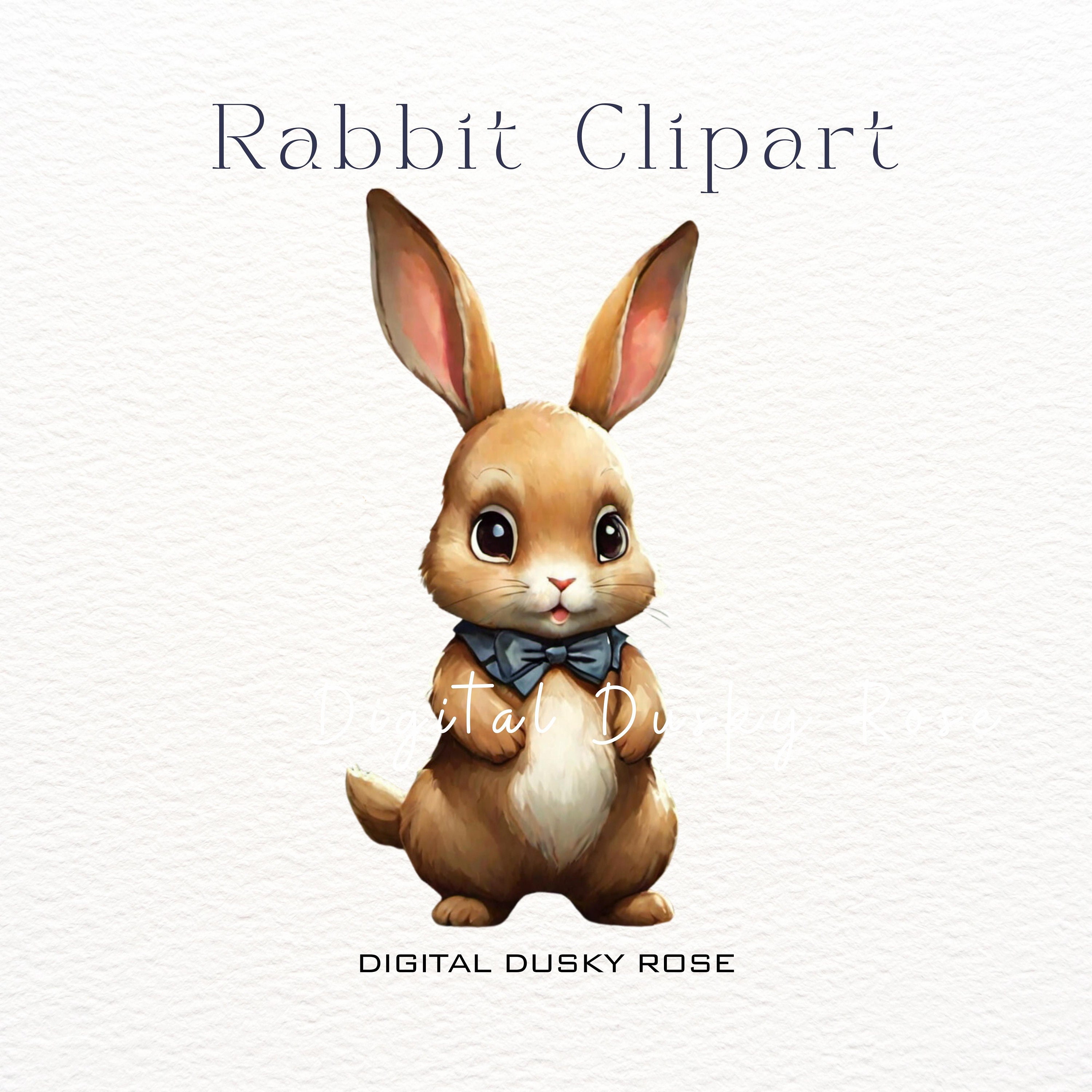 Rabbit Watercolor Clipart PNG Cute Forest Animal Kawaii - Etsy