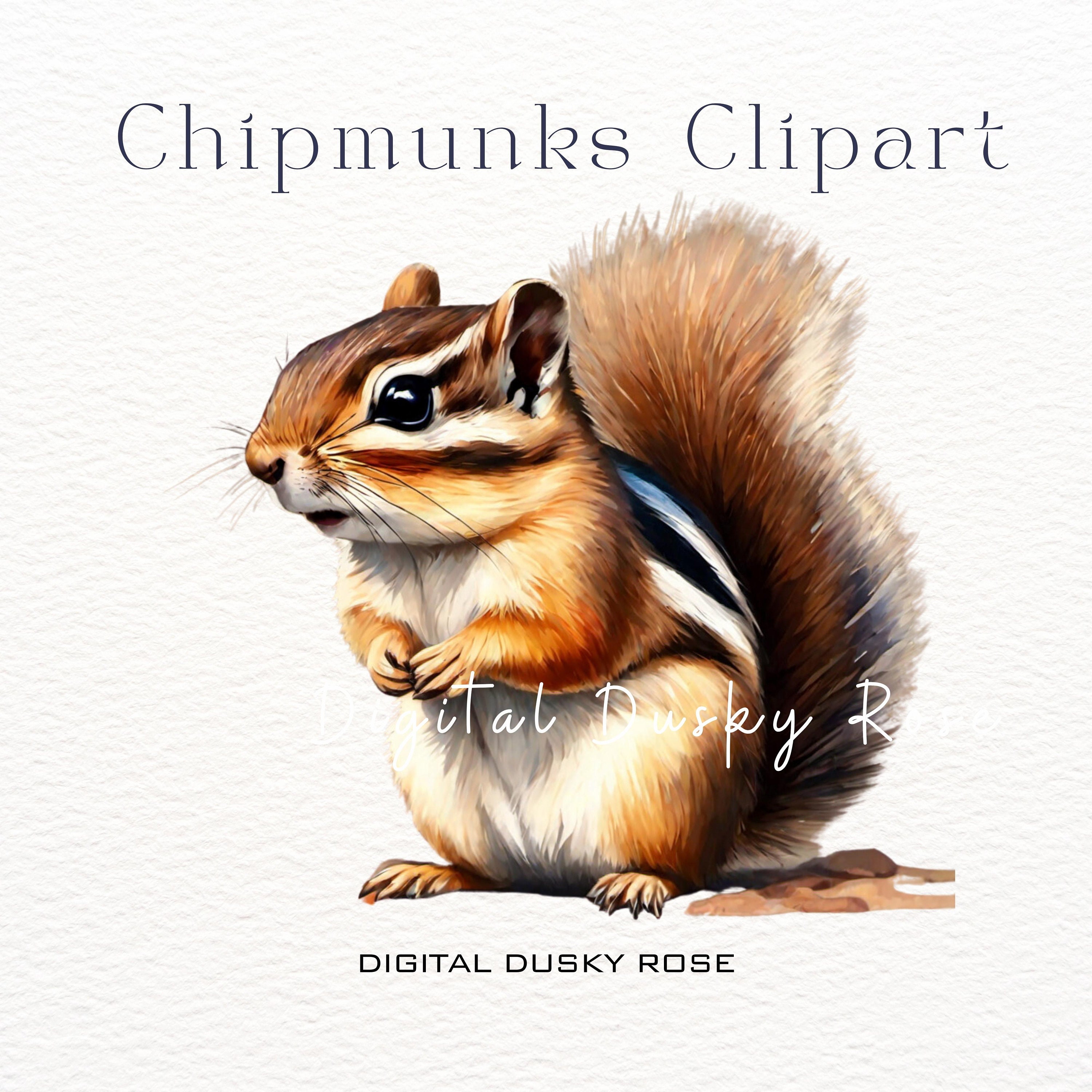 Chipmunk Watercolor Clipart PNG Cute Wild Animal Craft - Etsy