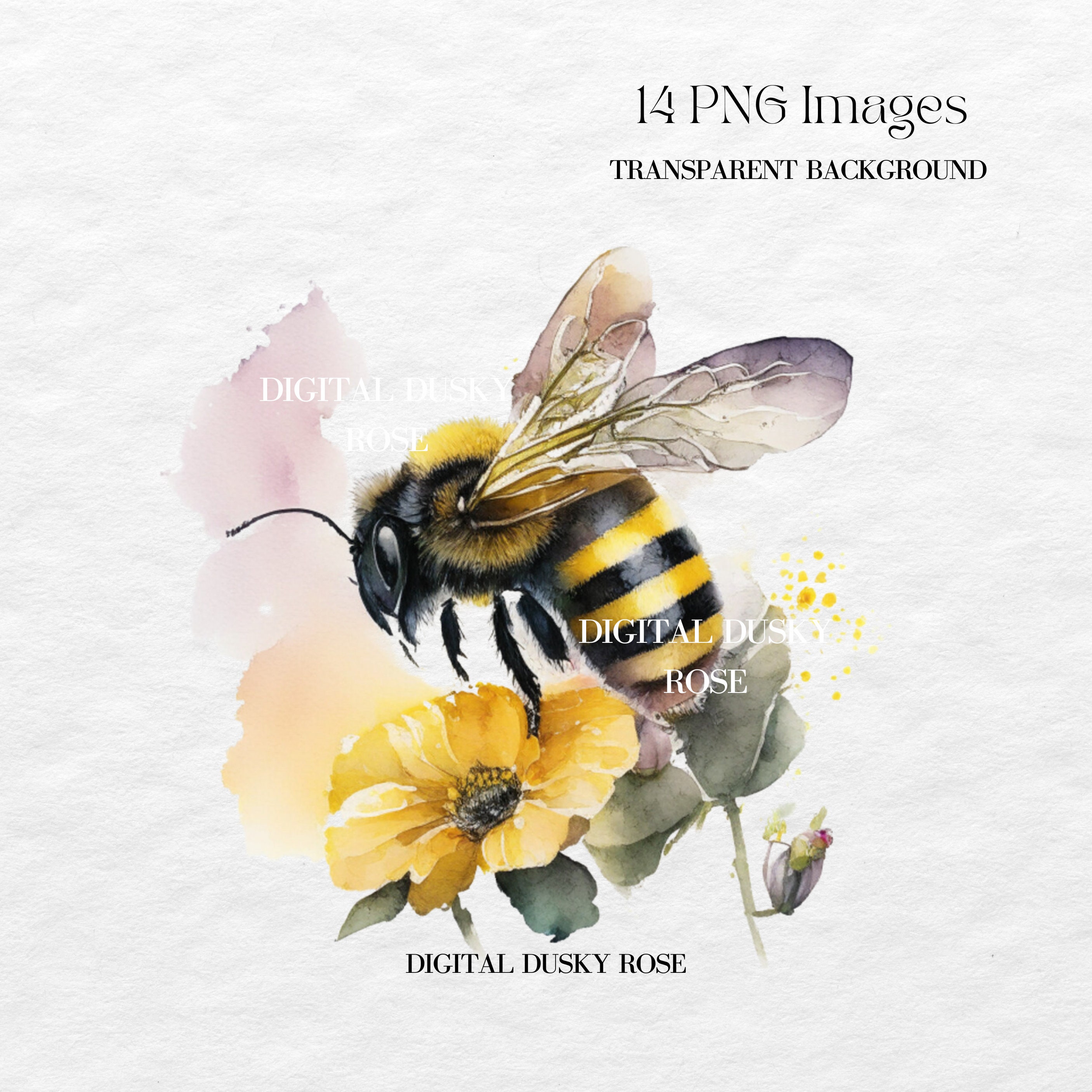 Bees Flower Clipart Bundle Watercolor High-resolution - Etsy