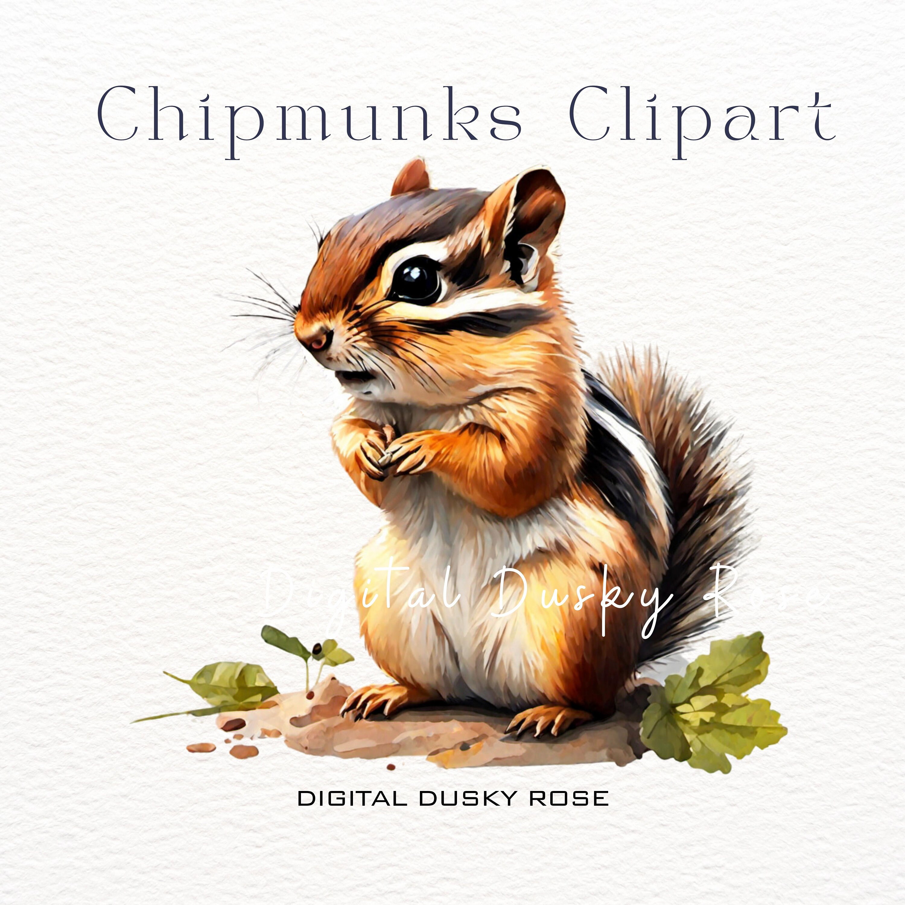 Chipmunk Watercolor Clipart PNG Cute Wild Animal Craft - Etsy