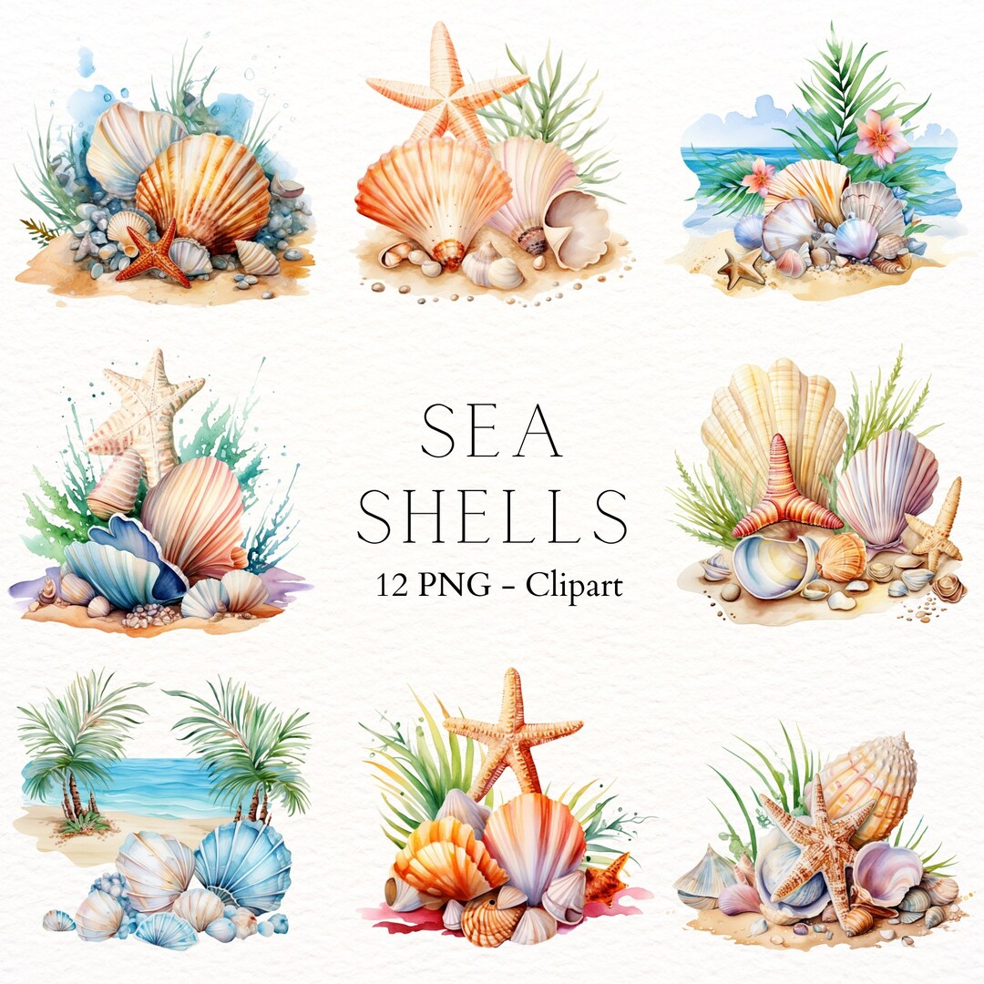 Coastal Seashell Clipart Set, 12 Vibrant Seashell Watercolor ...