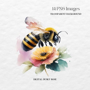 Bees Flower Clipart, Bundle, Watercolor, High-resolution, Bumble Bee ...