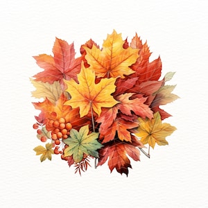 Autumn Maple Leaf Clipart Fall Foliage Seasonal Decor Graphics Fall ...