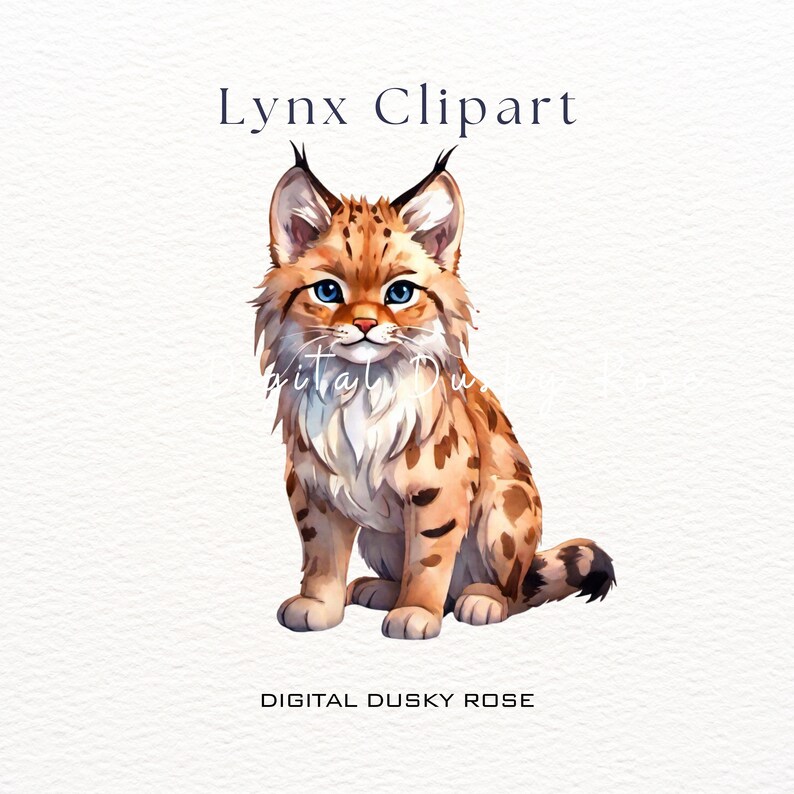 Lynx Watercolor Clipart PNG Lynx Craft Illustrations DIY Art - Etsy