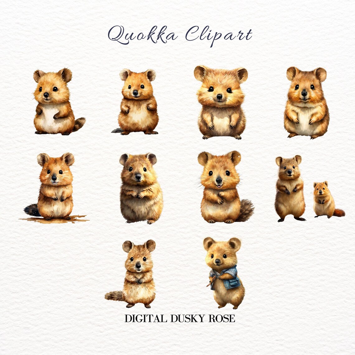 Cute Quokka Watercolor Clipart,png, Adorable Wild Animal, Printable Cartoon, Nursery Wall Art ...