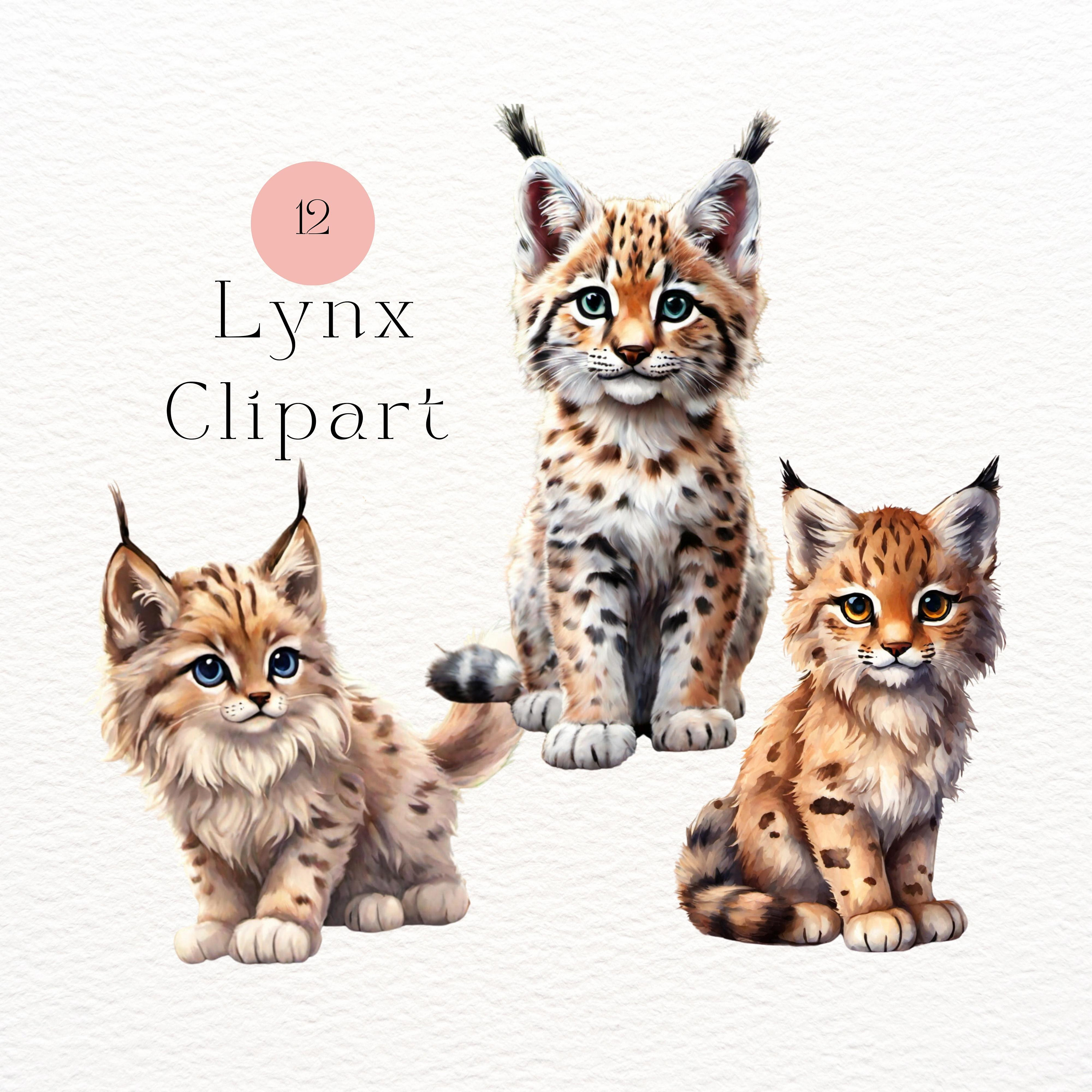 Lynx Watercolor Clipart PNG Lynx Craft Illustrations DIY Art - Etsy