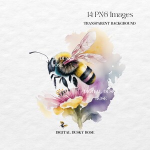 Bees Flower Clipart, Bundle, Watercolor, High-resolution, Bumble Bee ...