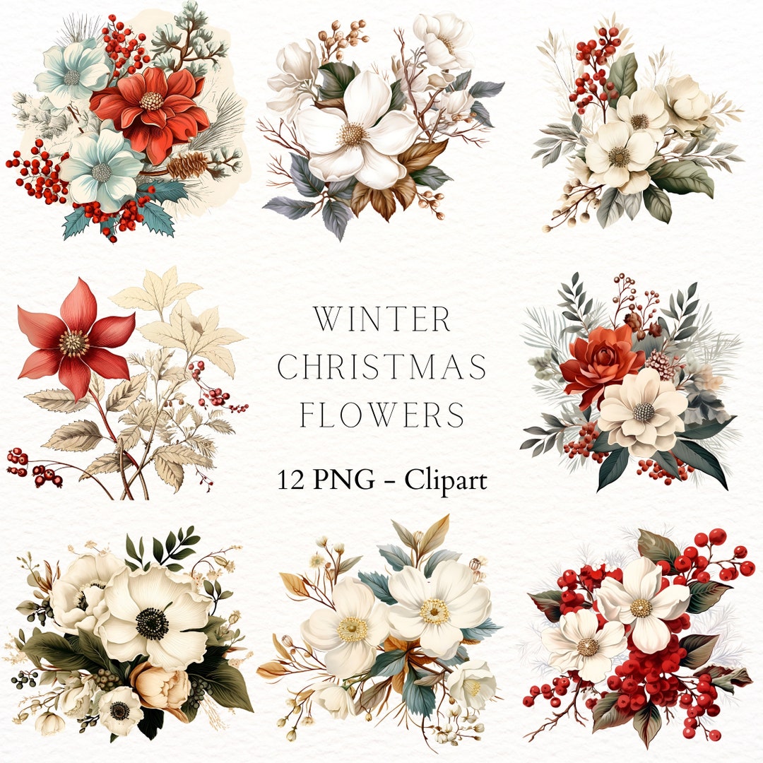 Flowers Clipart Floral Winter Bouquet Christmas Decoration Magnolia ...