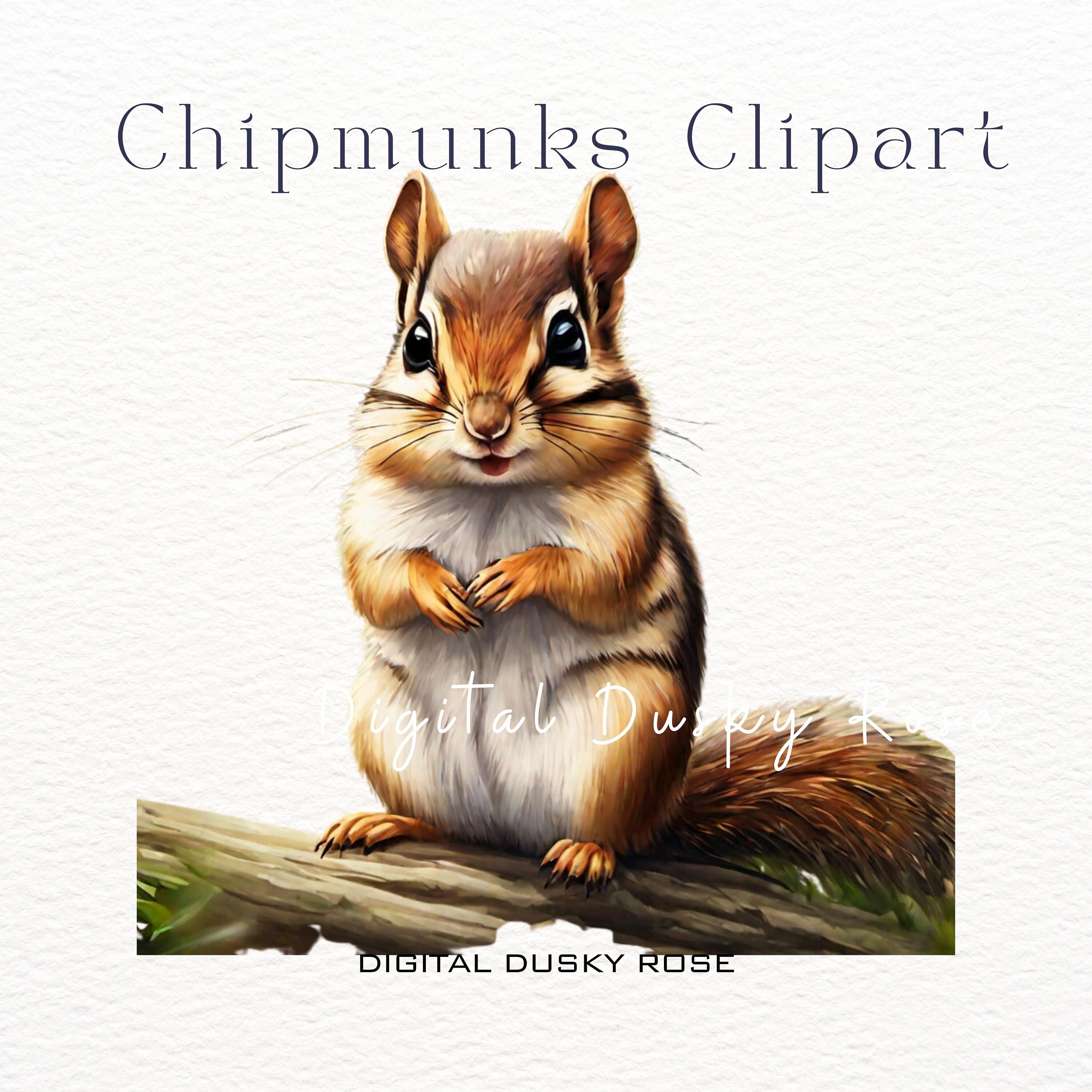 Chipmunk Watercolor Clipart PNG Cute Wild Animal Craft - Etsy