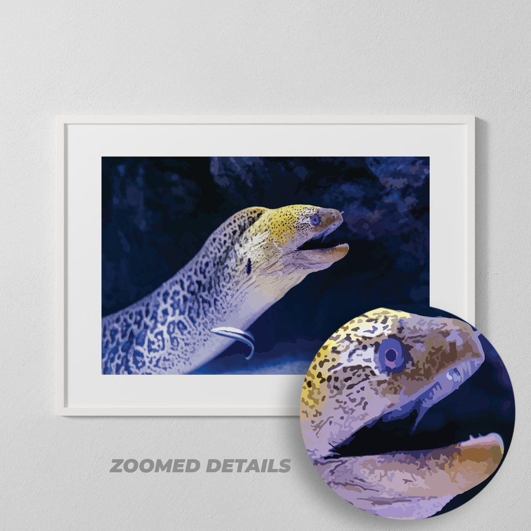 Moray Eel Art Print, Art Print, Boho Wall Art, Modern Abstract Wall Art ...
