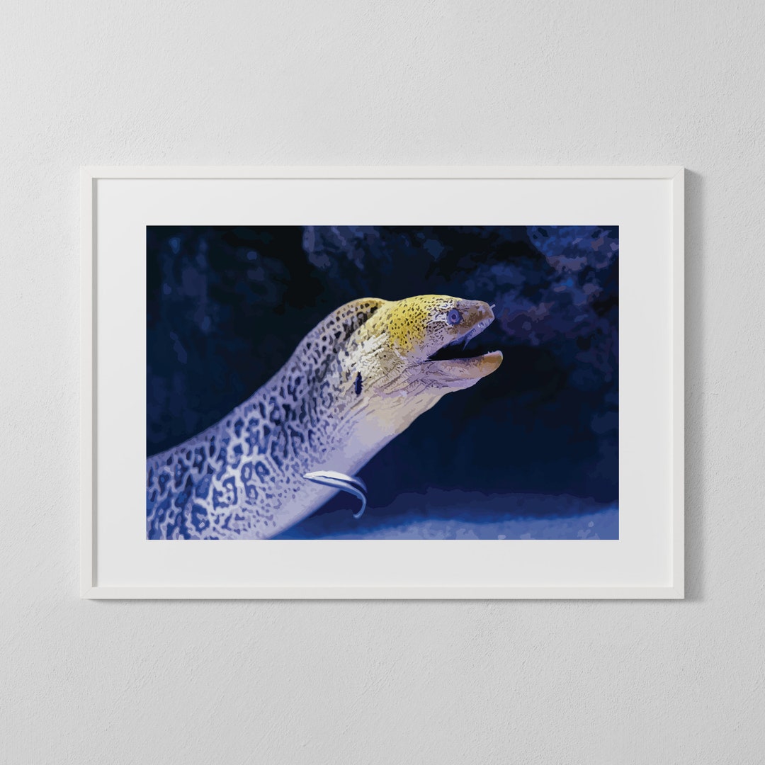 Moray Eel Art Print Art Print Boho Wall Art Modern Abstract - Etsy
