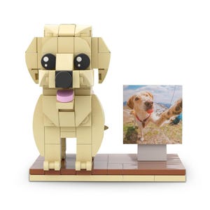 Custom Brick Figure With Dog: Personalized Pet & Owner Block Toy - Etsy