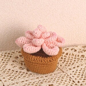 Succulent Crochet Potted Plants, Handwoven Knitted Plants, Completed ...