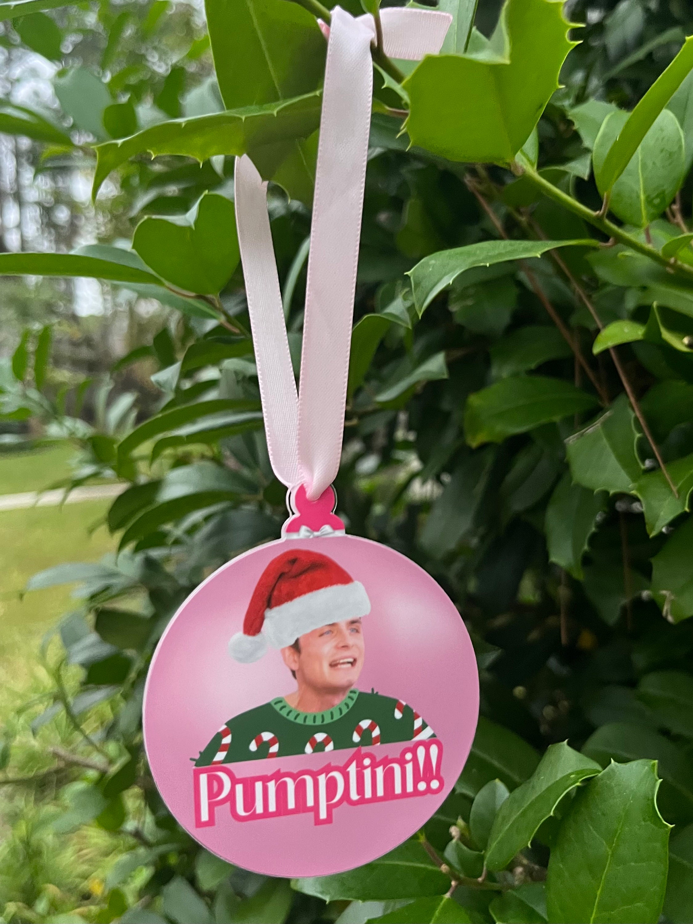 James Kennedy Inspired PUMPTINI Ornament Great Secret Santa Gift for a ...