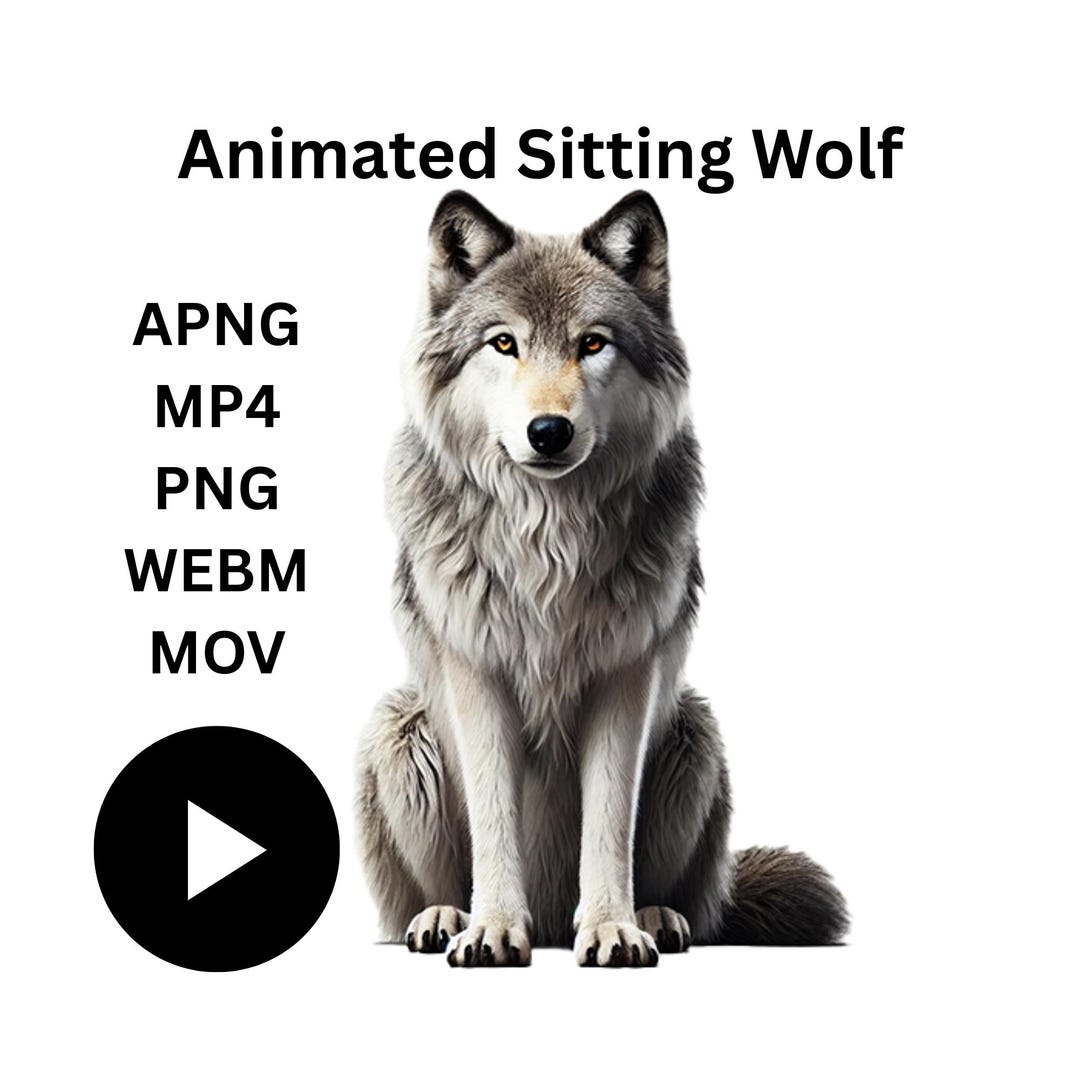 Animated Sitting Wolf Loop: Streaming Decoration, Video Clipart ...