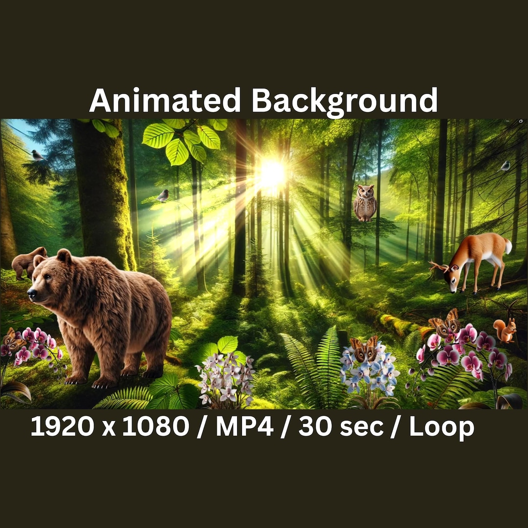 Animated Forest Wildlife Background, Bears, Deer, Birds, Orchids and ...