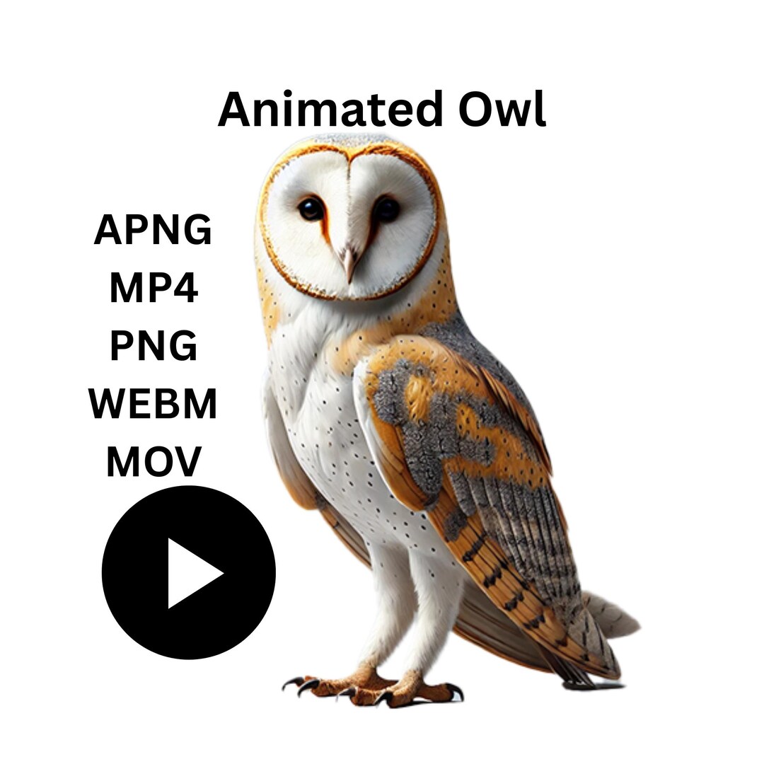 Animated Owl Loop: Transparent Woodland Overlay (digital Download) - Etsy