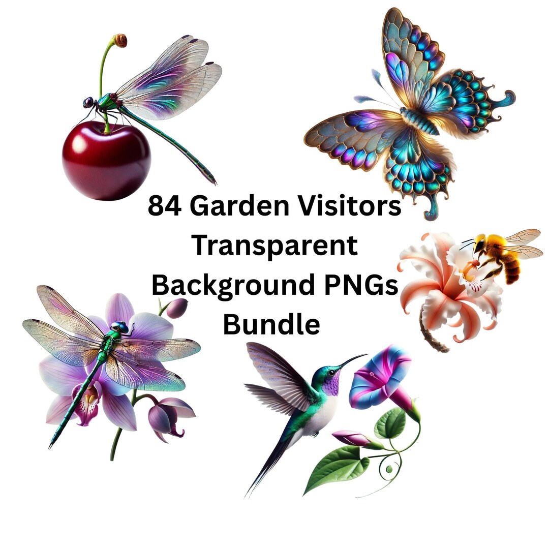 84 Garden Visitors Clipart Bundle – Bees, Butterflies, Hummingbirds ...
