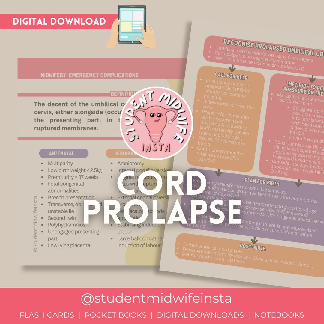 Student Midwife Studygram, Midwife Student, Midwife Flash Cards ...