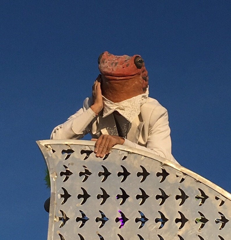 Desert Toad Mask - Etsy