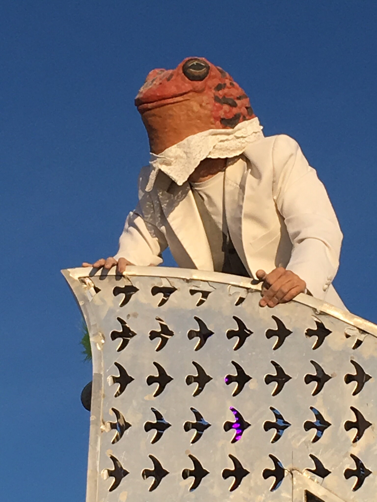 Desert Toad Mask - Etsy