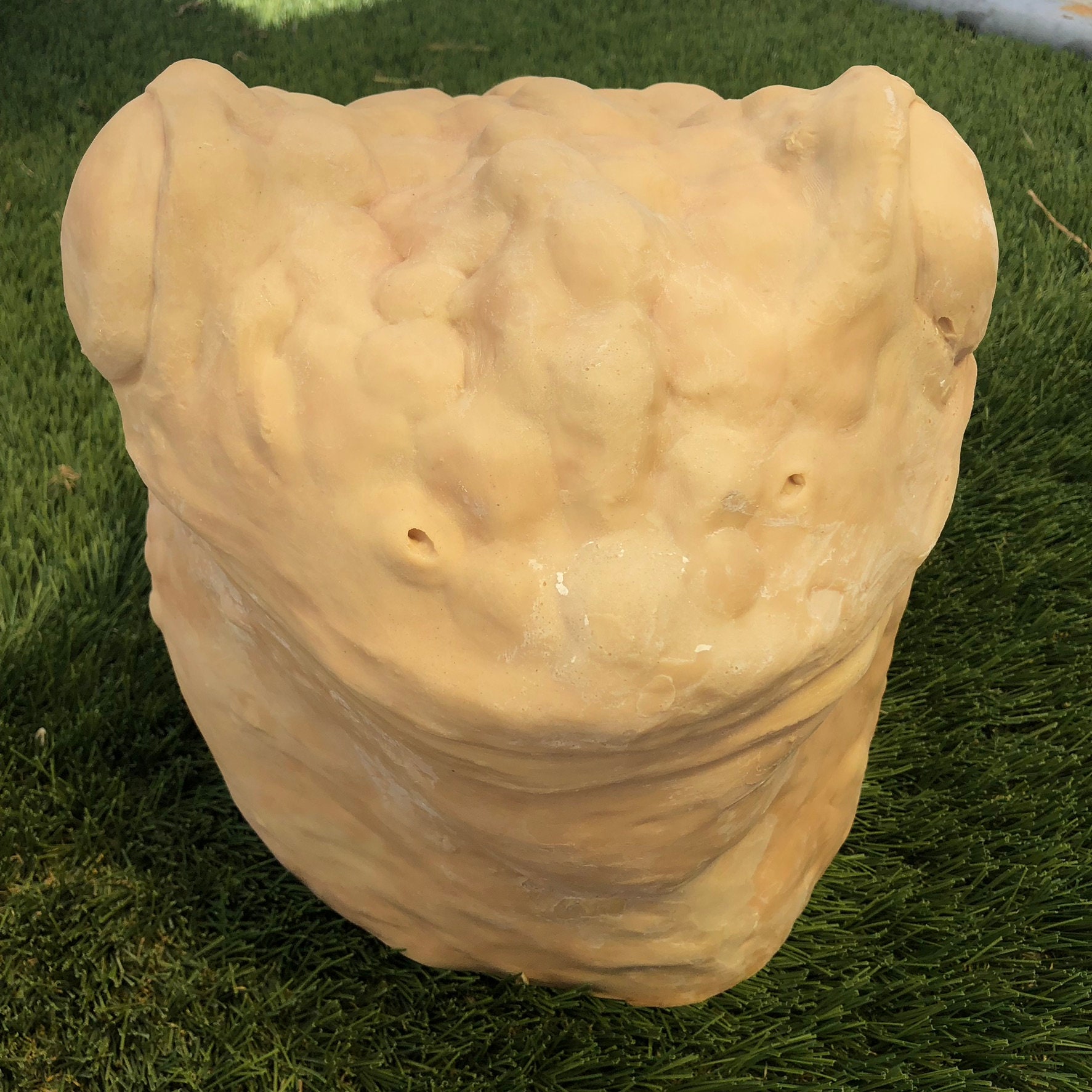 Desert Toad Mask - Etsy