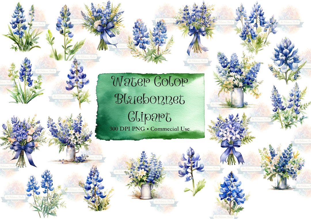 Watercolor Bluebonnet Clipart | 20 Images | Vibrant Flowers | PNG ...