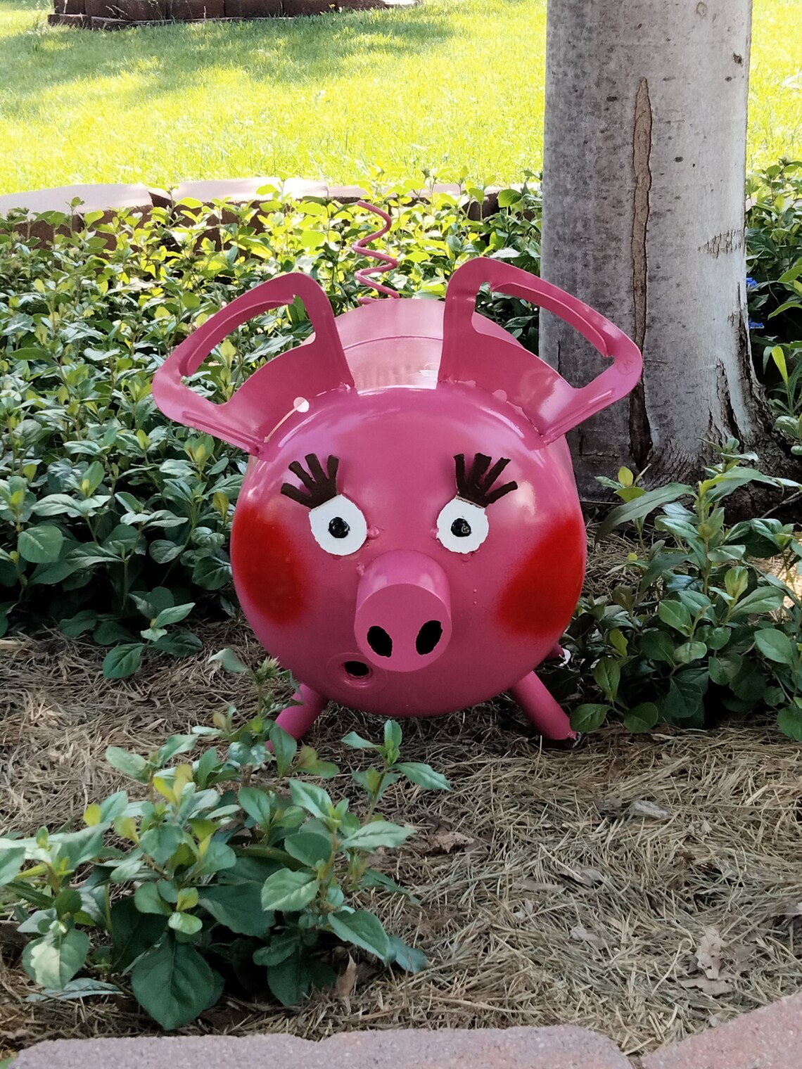 Pig Tank - Etsy
