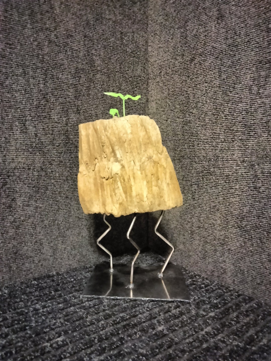 Petrified Wood Rock Sculpture - Etsy