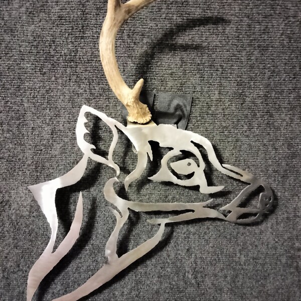 Real Mounted Deer Head - Etsy