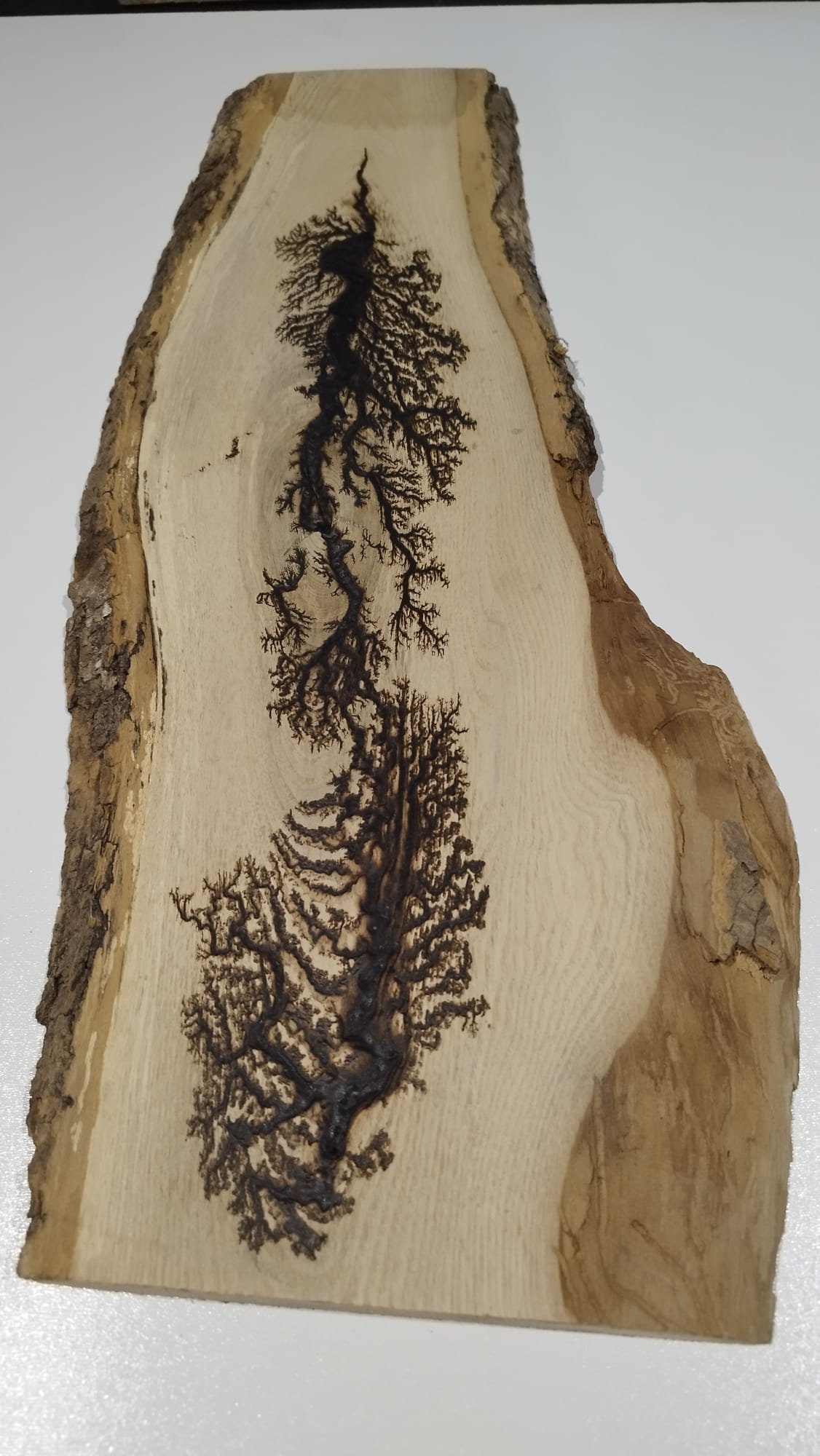 Live Edge Fractal Burned Ash Wood Frame Home Décor - Etsy