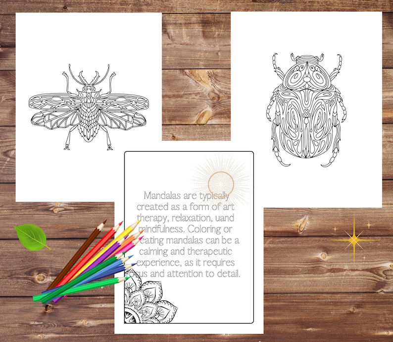 Mandala Insects Coloring Pages Adults & Teens, Instant Download, Simple ...