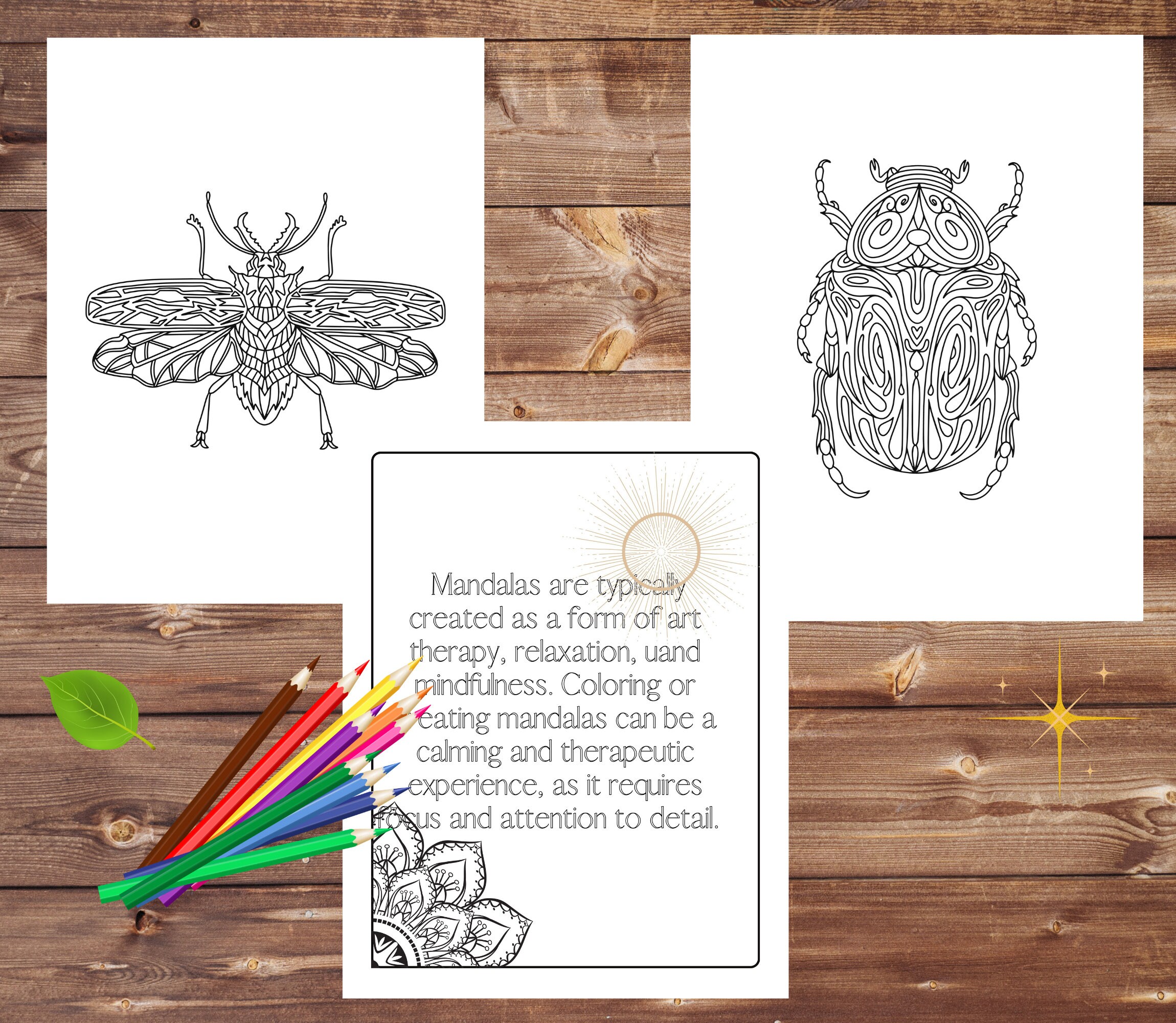 Mandala Insects Coloring Pages Adults & Teens, Instant Download, Simple ...