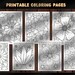 Floral Cactus & Succulent Coloring Gages, Printable PDF, Botanical ...