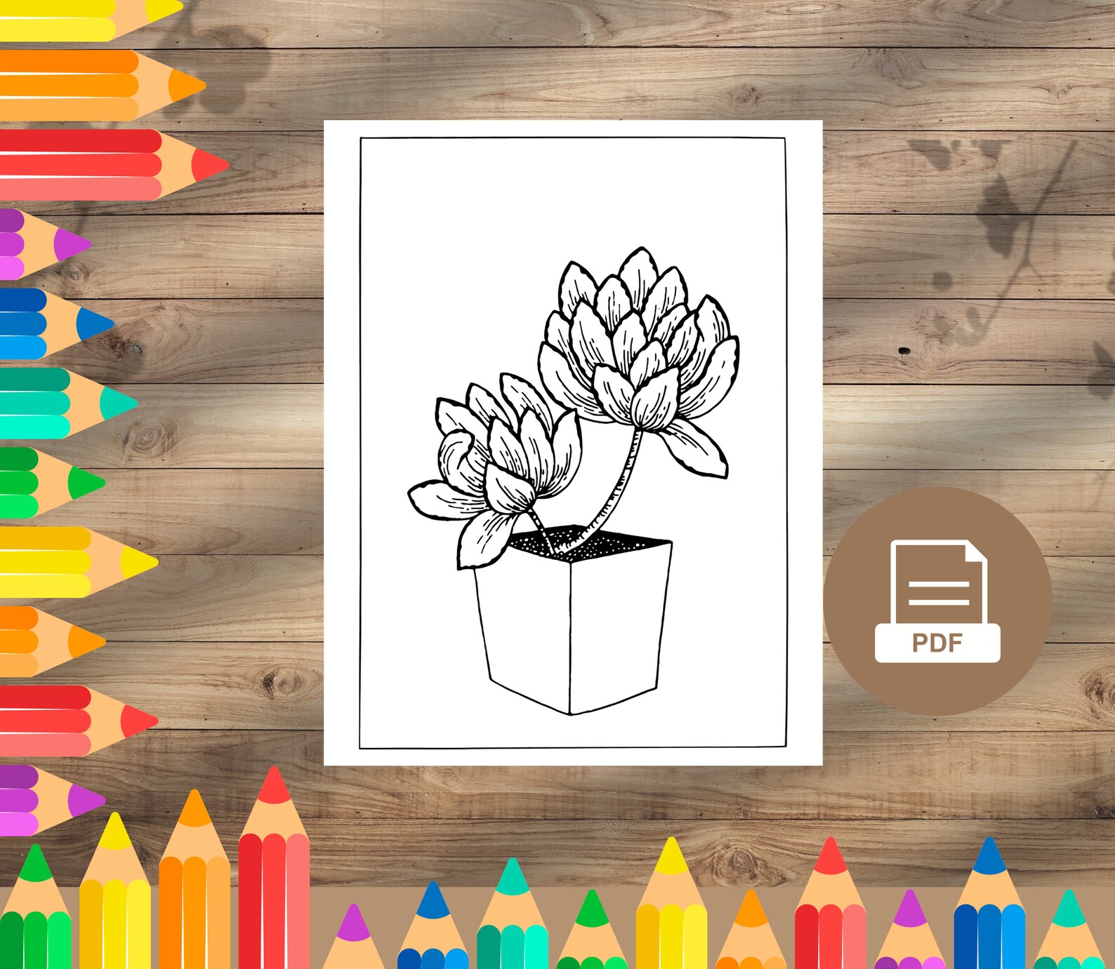 Floral Cactus & Succulent Coloring Gages, Printable PDF, Botanical ...