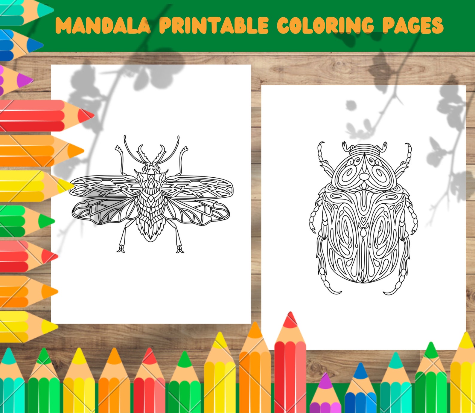 Bug Mandala Coloring Book PDF for All Ages - Simple and Intricate ...