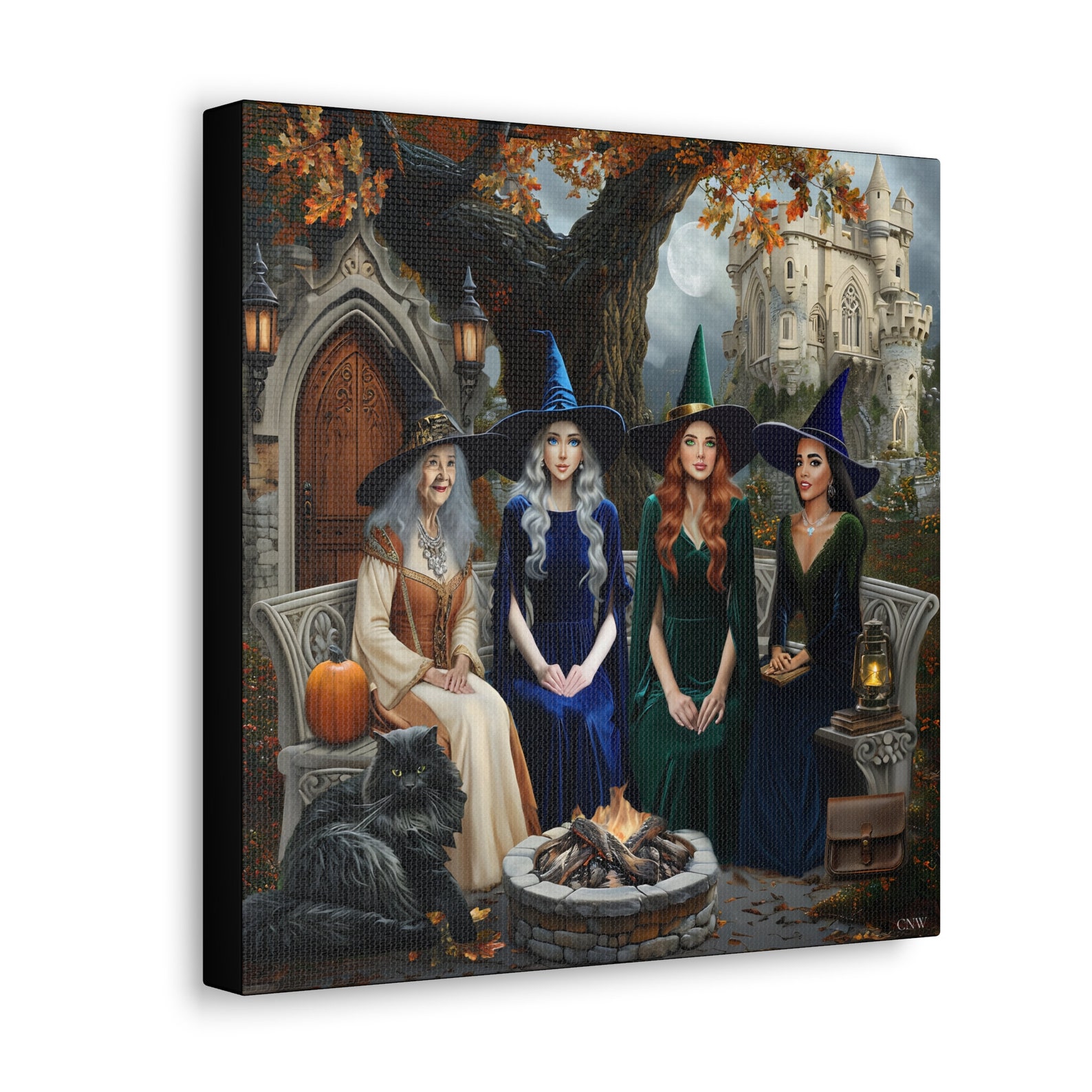 Three Witches Meeting With Elder Witch Black Cat Castle Full Moon ...