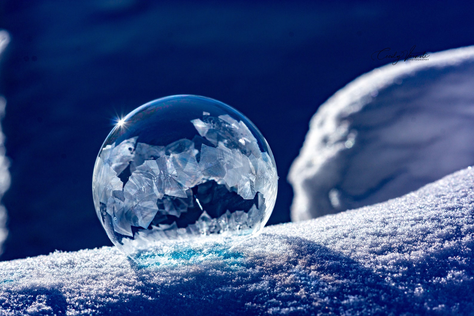 Frozen Bubble in the Snow - Etsy