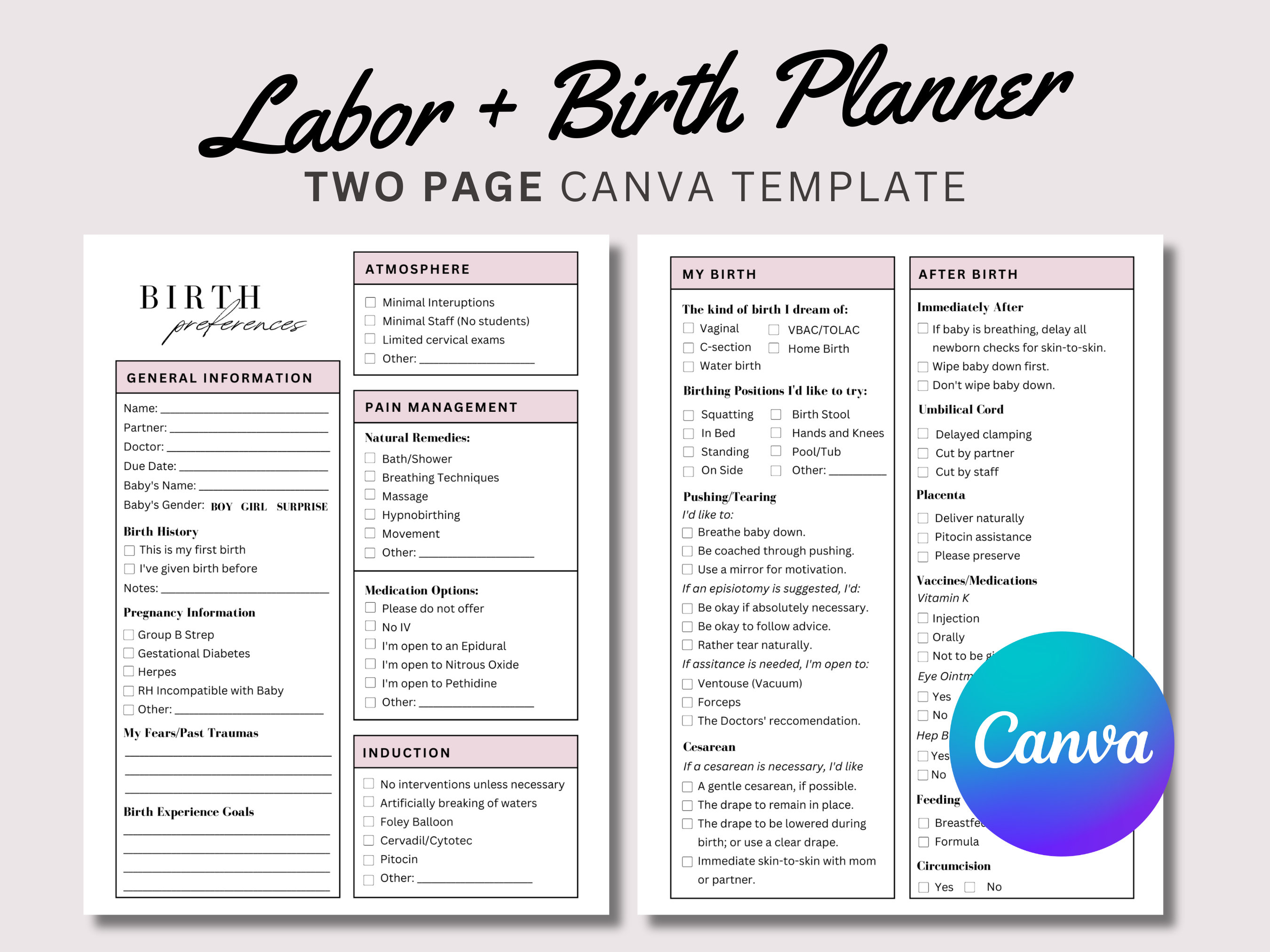 Birth Plan Template Editable, Birth Preferences, Printable Birth Plan ...
