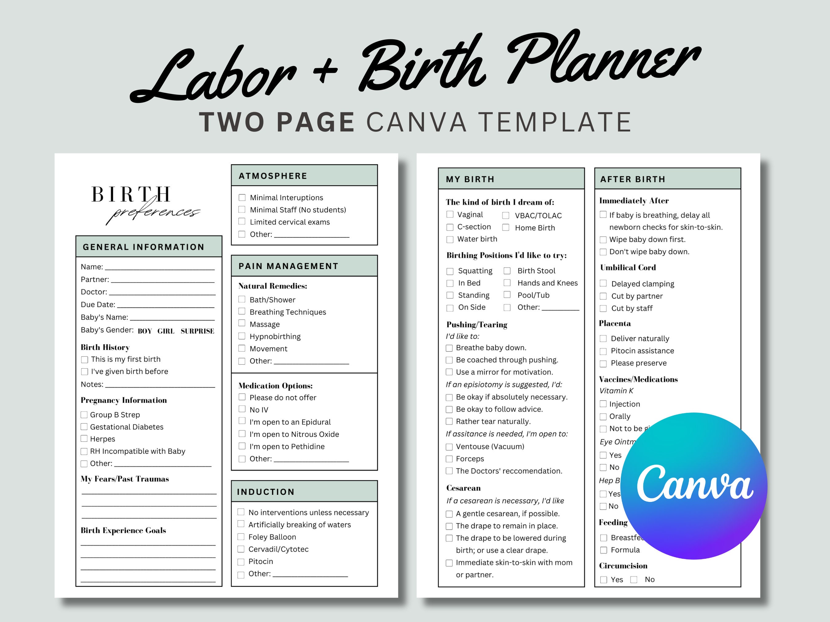 Birth Plan Template Editable, Birth Preferences, Printable Birth Plan ...