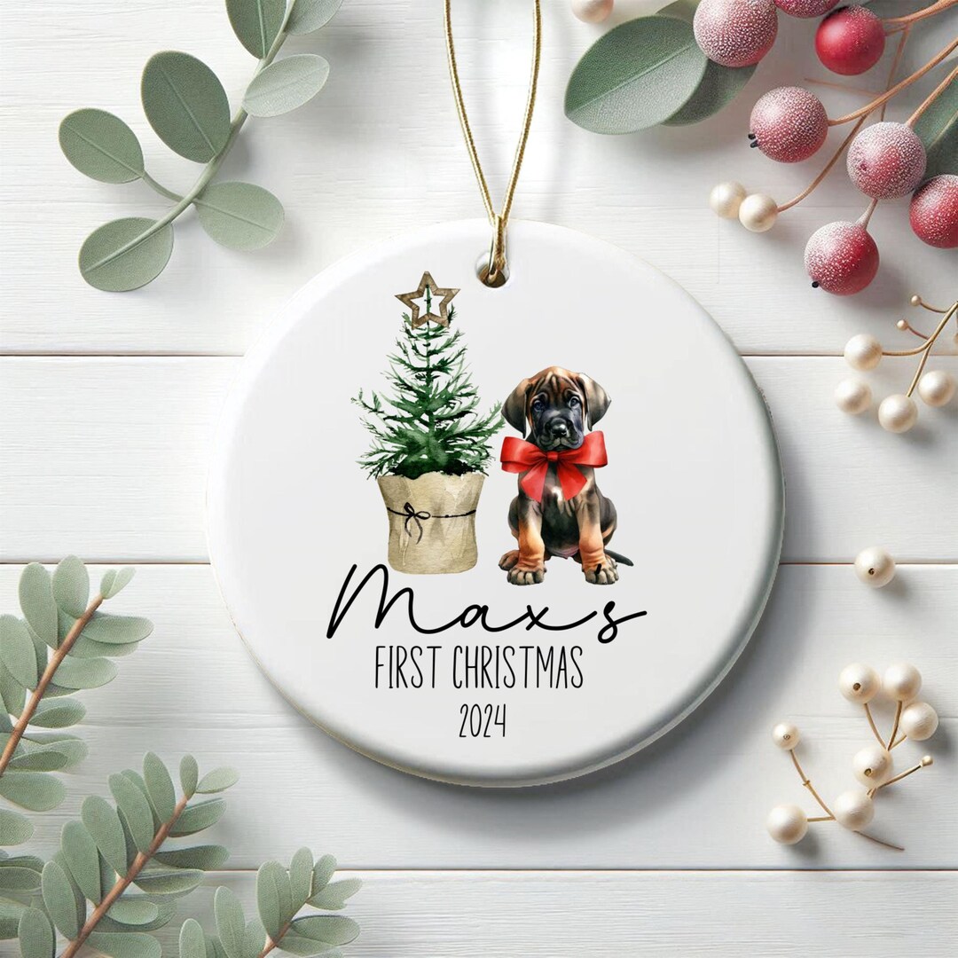 Dog First Christmas Ornament, Personalized Great Dane Ornament, Puppy ...