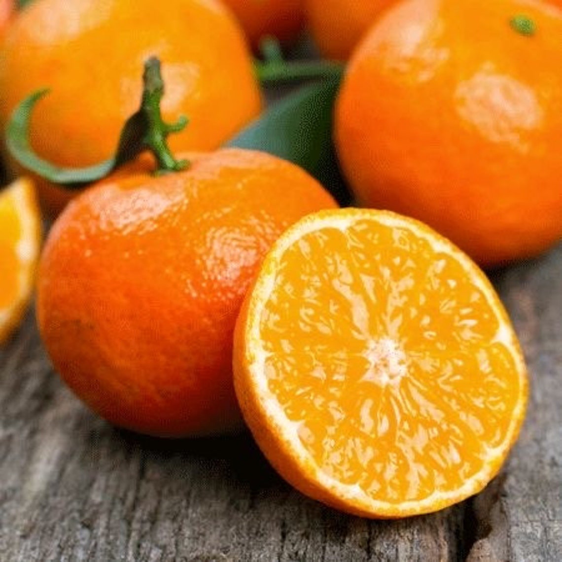 Kishu Seedless Mandarin Tree: 3ft Grafted Citrus. No Ship to CA. - Etsy