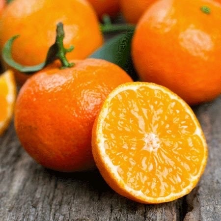 Kishu Seedless Mandarin Tree: 3ft Grafted Citrus. No Ship to CA. - Etsy