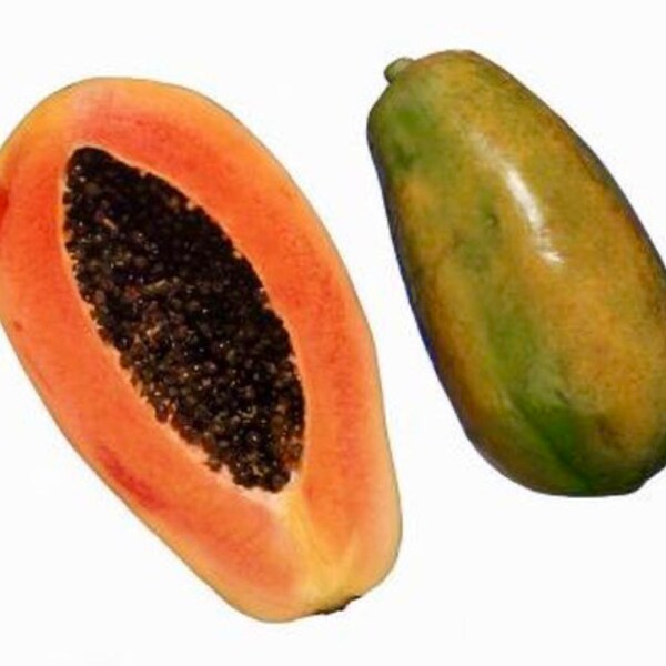 Dwarf Cherry Tree - Etsy