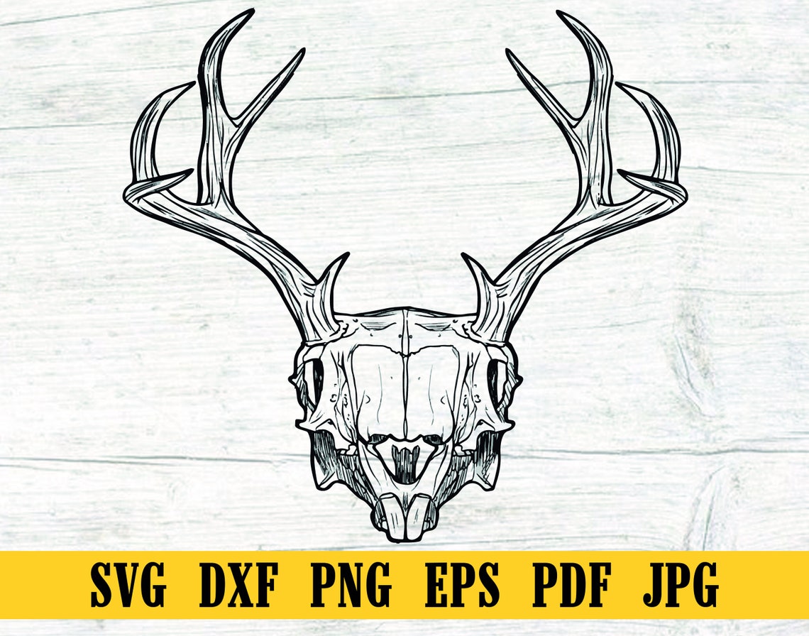 Deer Skull SVG, Deer Skull Svg, Cattle Skull Svg, Bison Skull Clipart ...